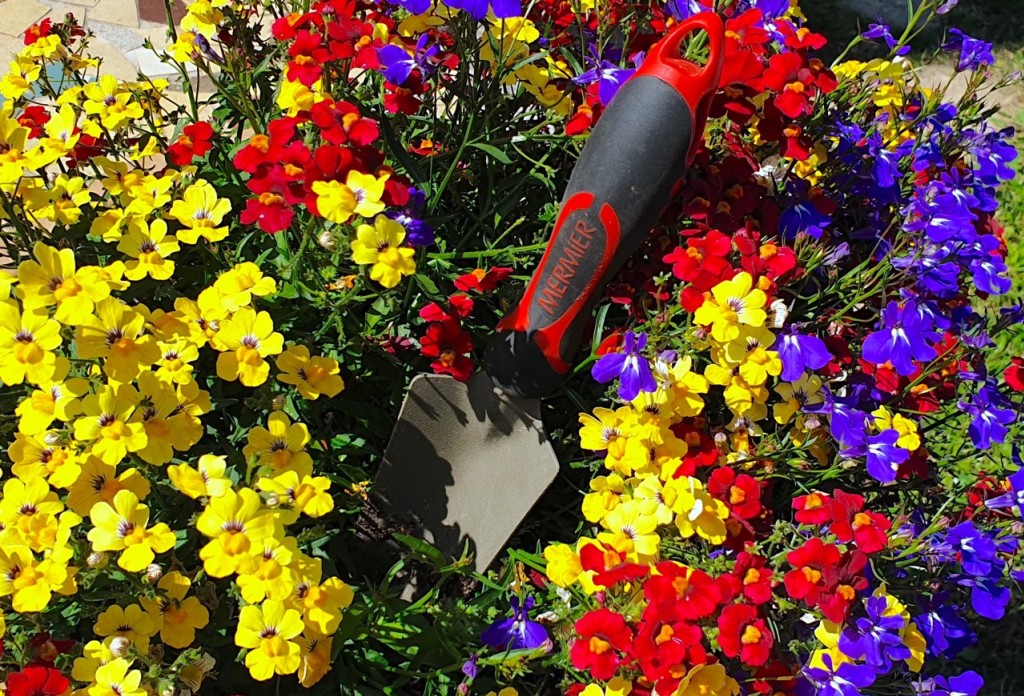 Choisir les outils nécessaire quand on débute en jardinage